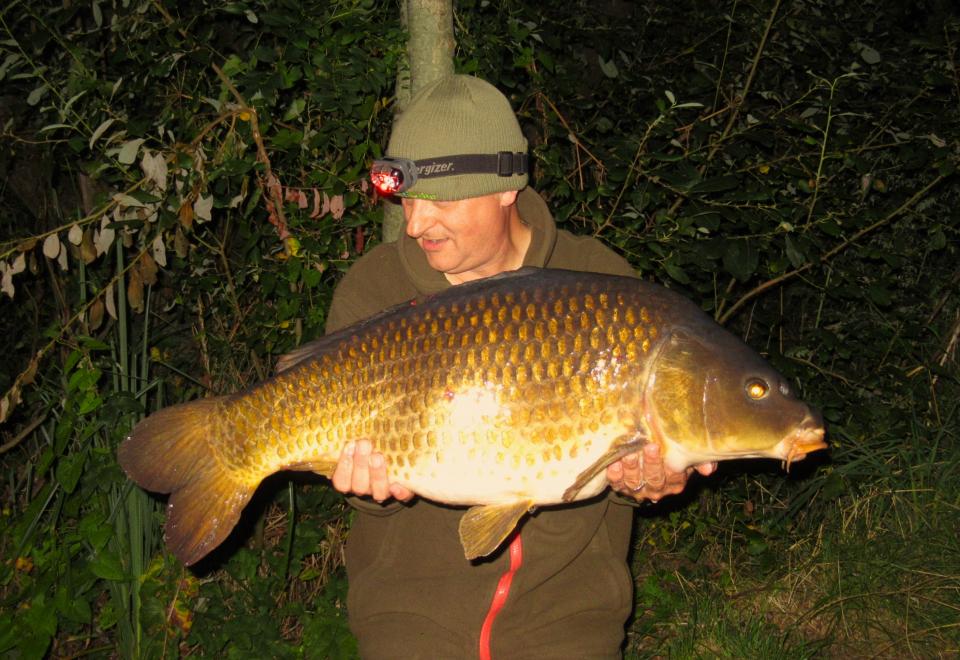 Dark Common | Total Carp